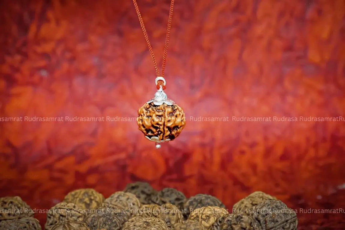 Buy 5 Mukhi Rudraksha in India | Original Nepali Bead – Rudra Samrat