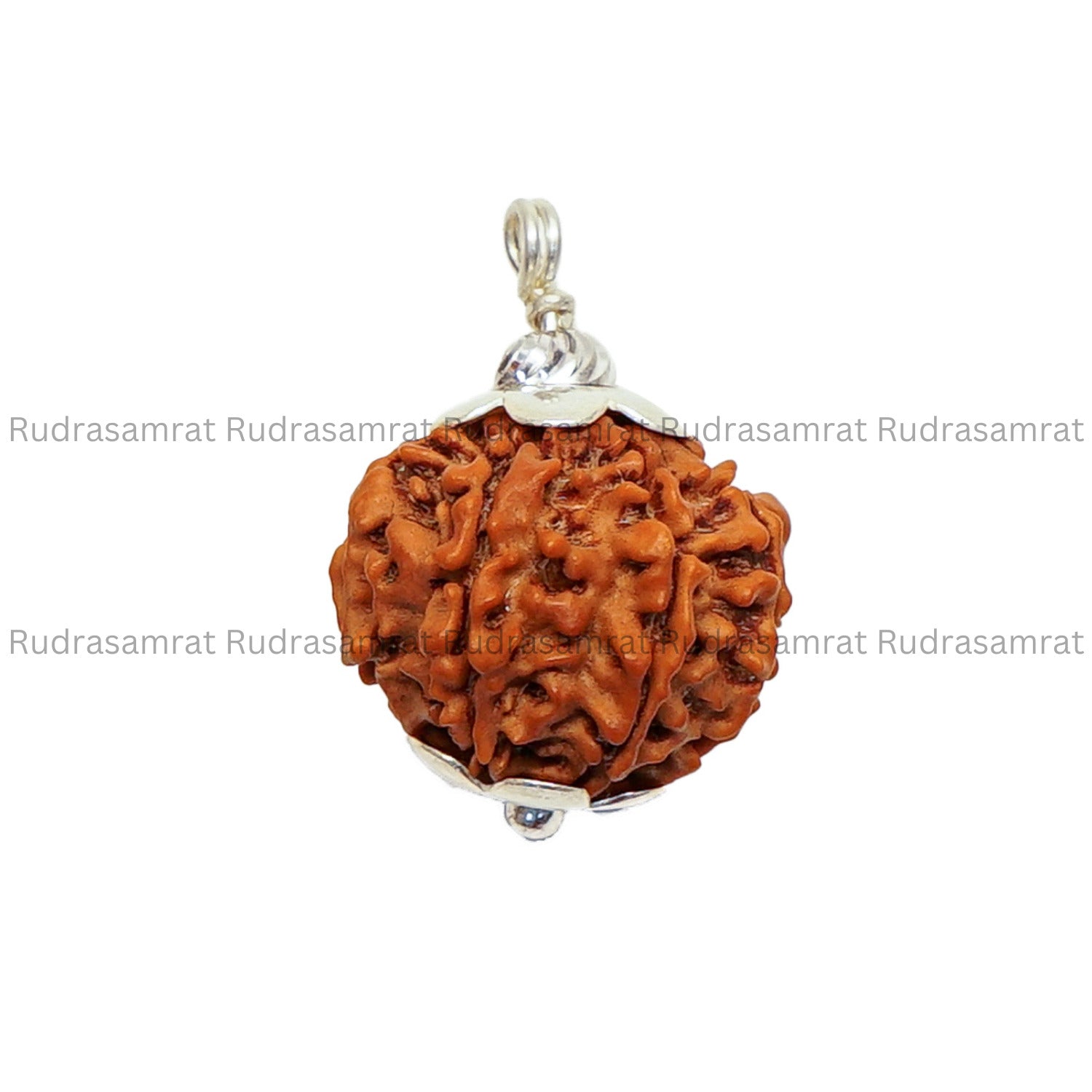 Buy 8 Mukhi Rudraksha (Nepali) Online at best price in India – Rudra Samrat